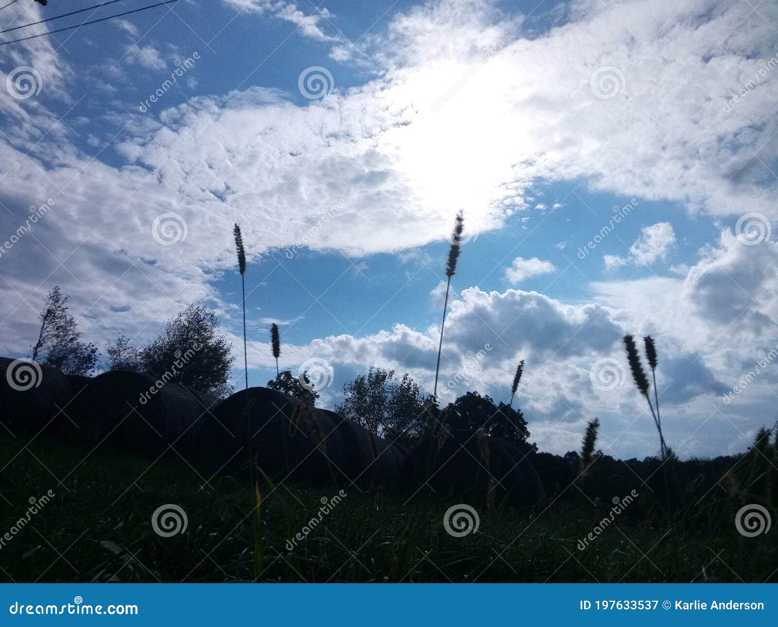 Sunny days on Monday stock image. Image of sunny, skies - 197633537