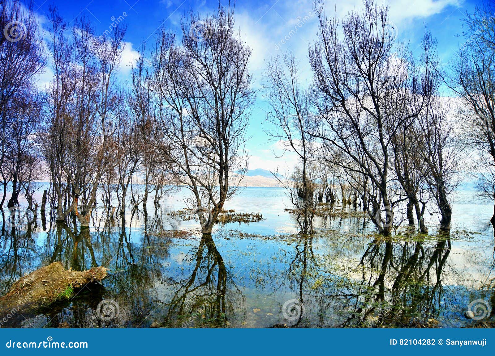 Sunny Days Under Natural Scenery, Lakes, Trees Stock Photo - Image of ...