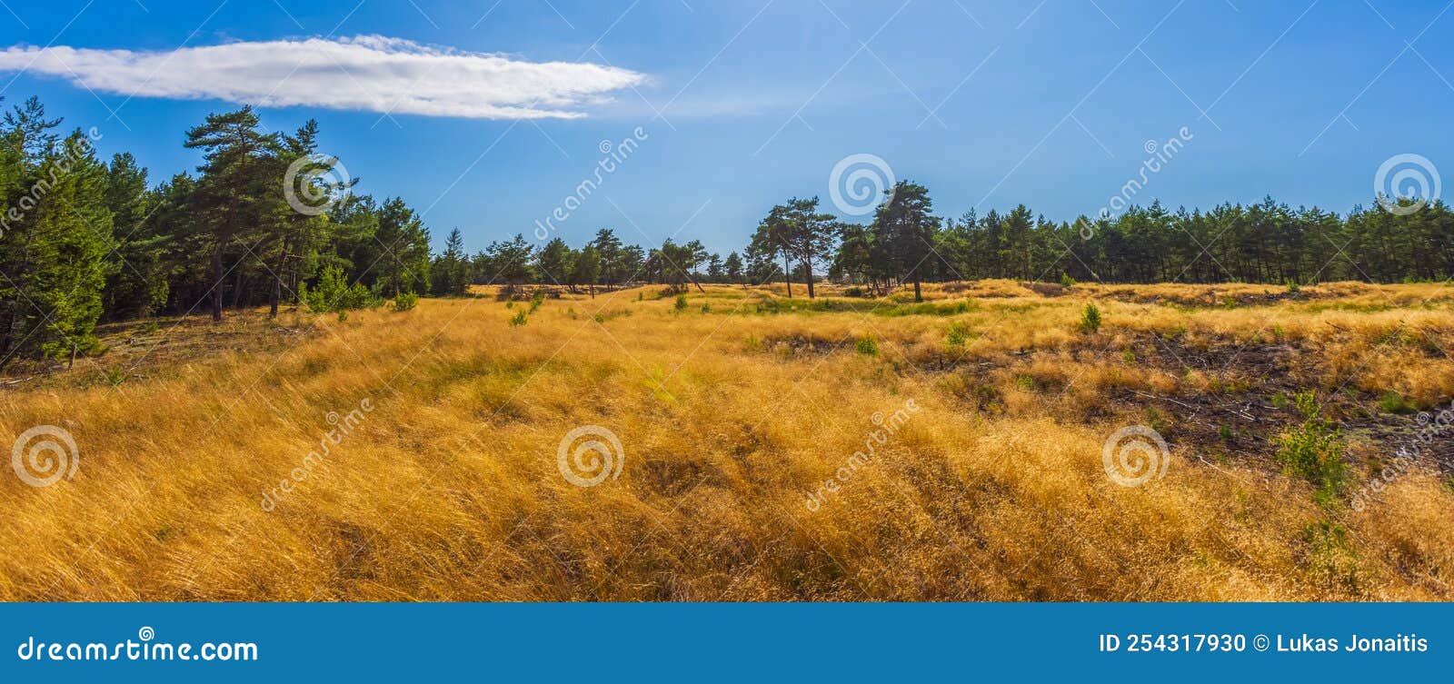 The Desertic Landscape of the Curonian Spit, Lithuania Stock Photo ...