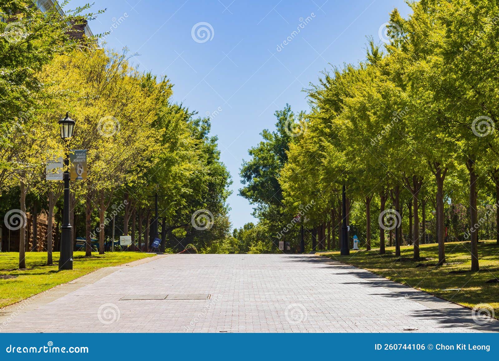 Sunny Exterior View of the Campus of University of Arkansas Editorial ...