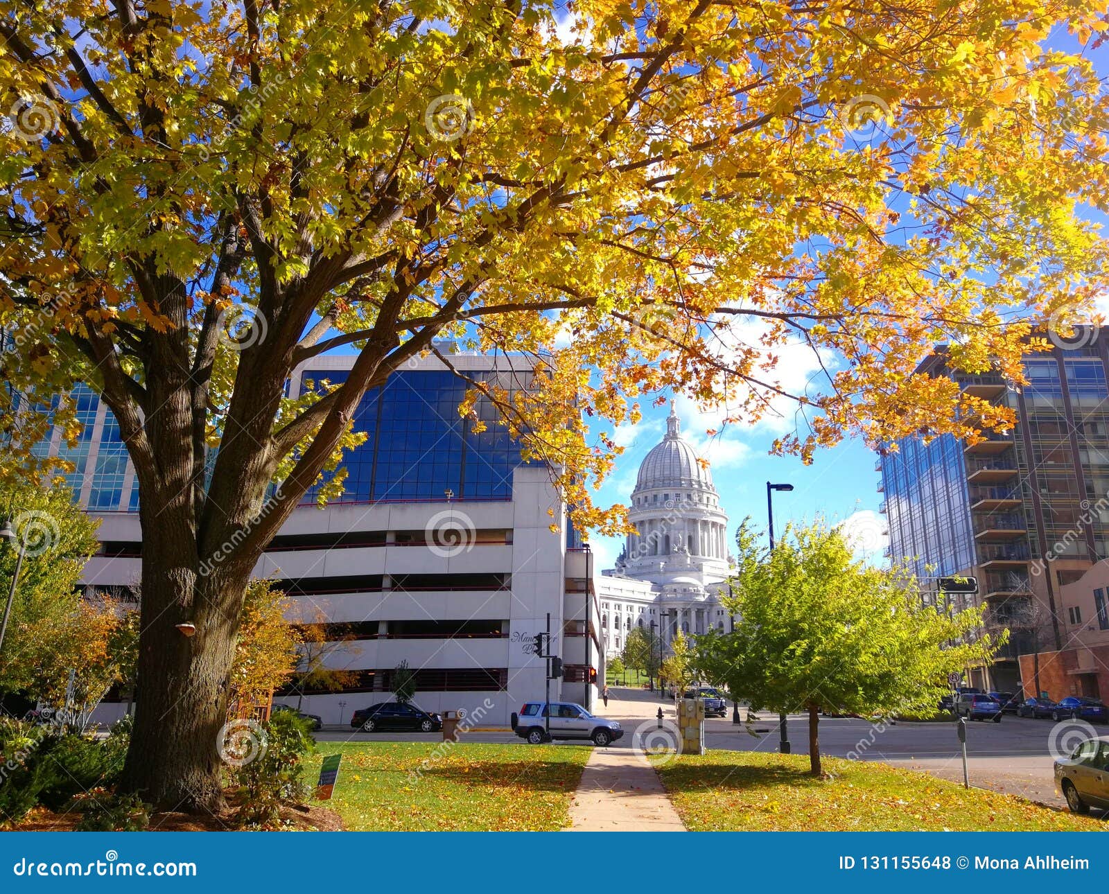 209 Fall Madison Wisconsin Photos - Free & Royalty-Free Stock Photos ...