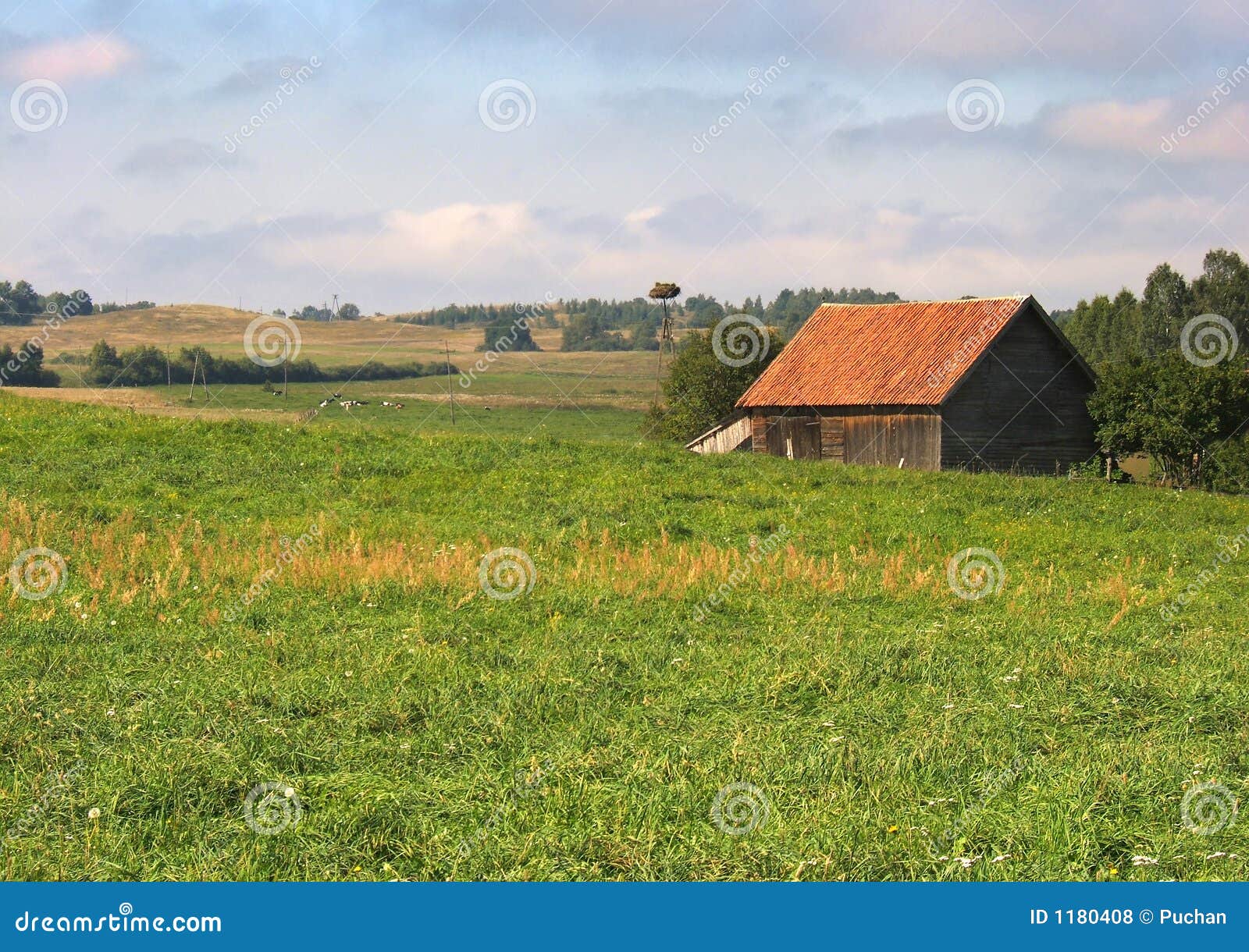 Sunny farm stock photo. Image of flowers, fresh, trees - 1180408
