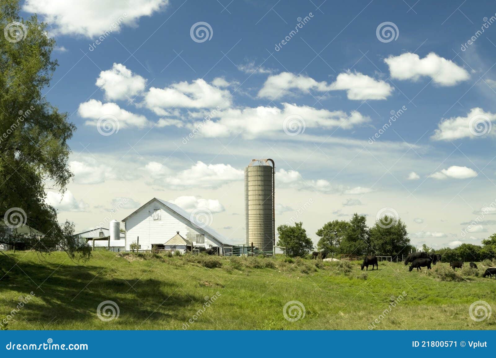 Sunny Farm stock image. Image of barn, america, silo - 21800571