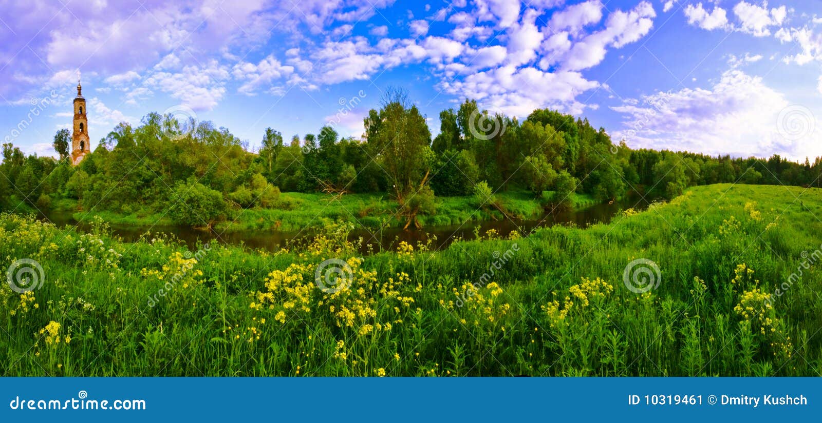 Sunny field stock image. Image of field, bright, blossom - 10319461