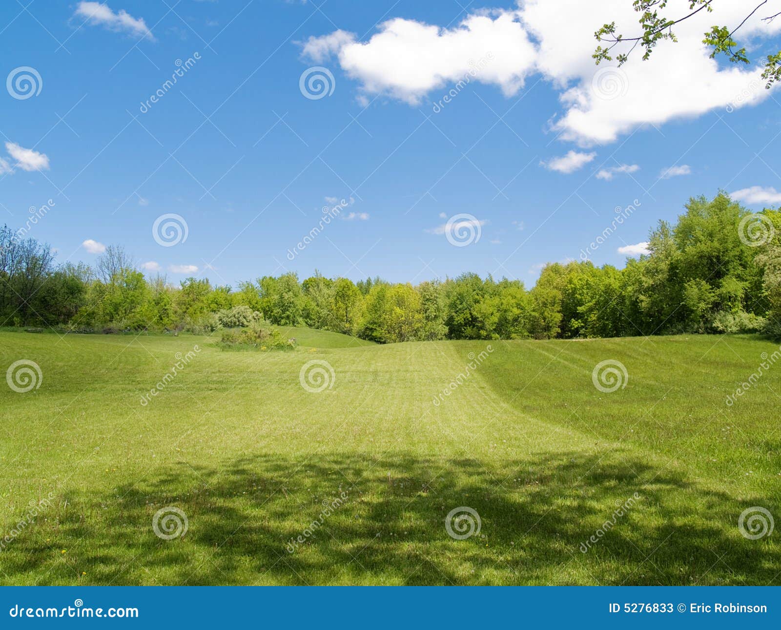 Sunny Field stock image. Image of spring, hope, tranquility - 5276833