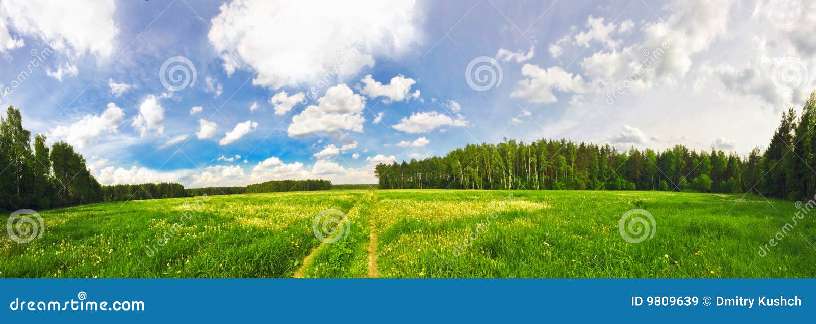 Sunny field stock image. Image of beautiful, bloom, cloud - 9809639