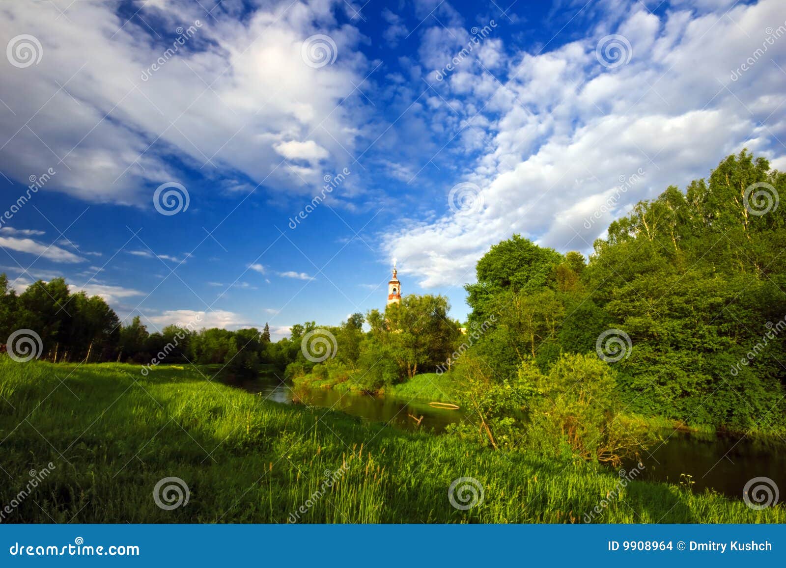 Sunny field stock photo. Image of beam, closeup, glow - 9908964