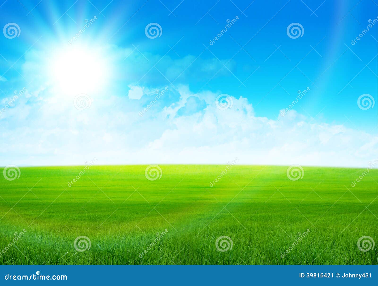 Sunny field stock illustration. Illustration of meadow - 39816421