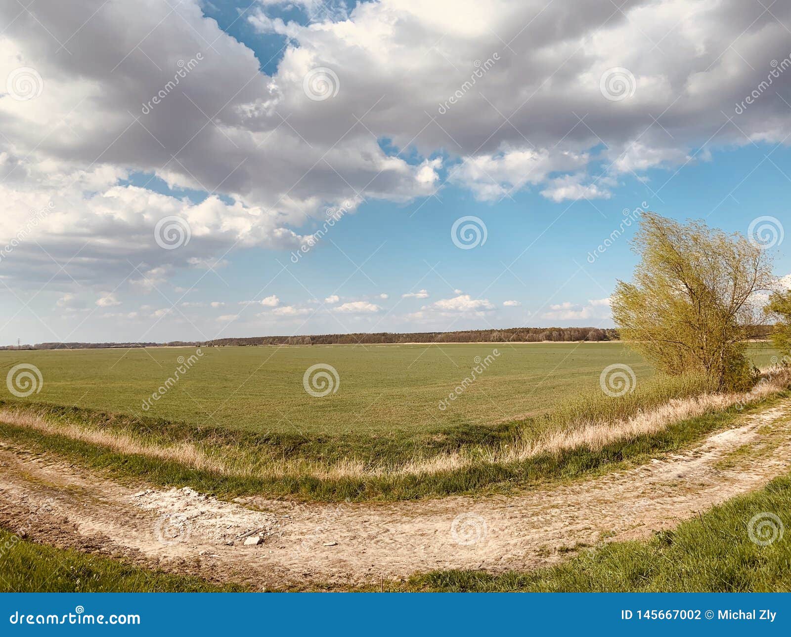 Sunny field stock photo. Image of sunny, empty, field - 145667002