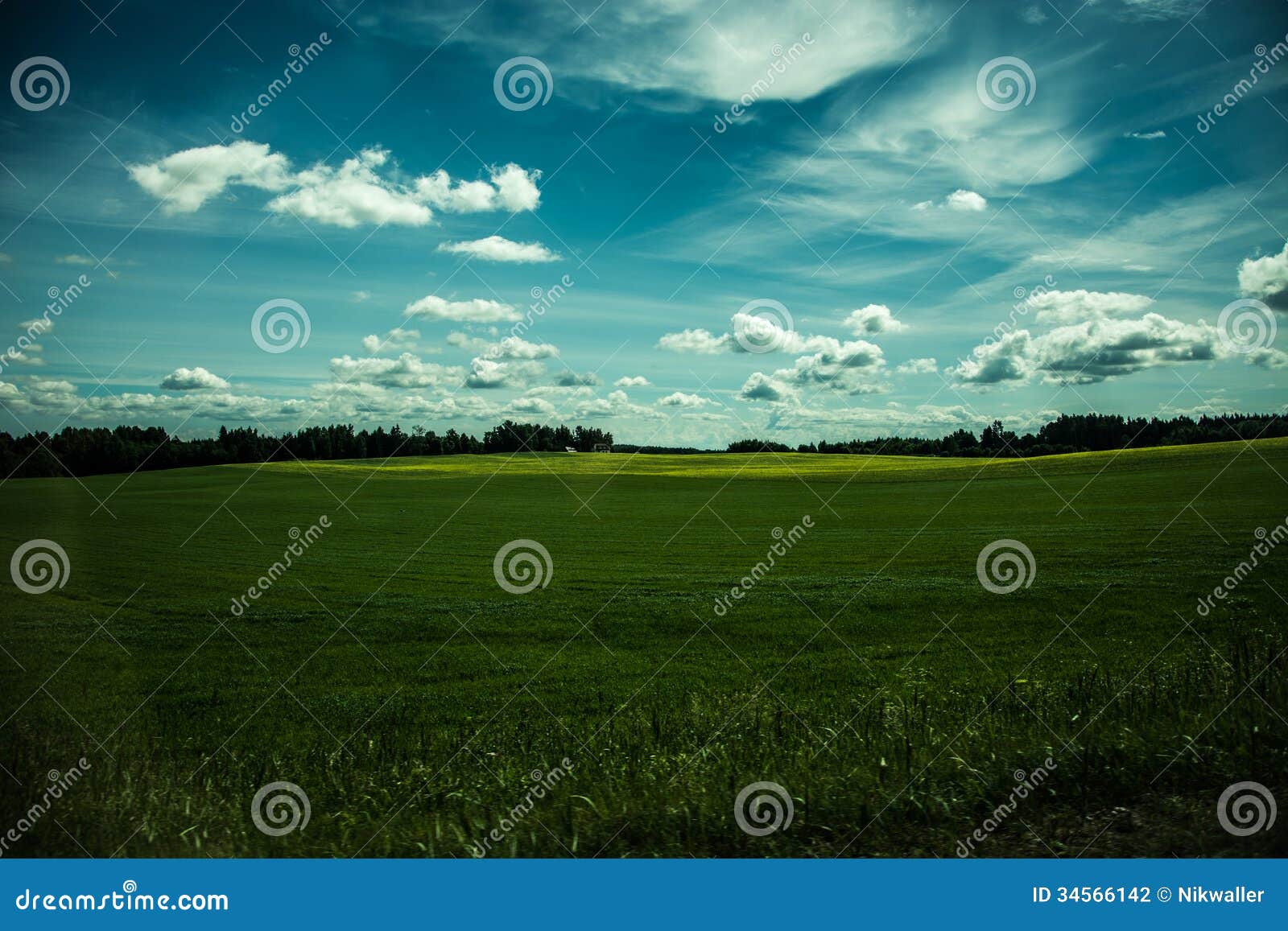 Sunny field stock photo. Image of fields, massive, green - 34566142