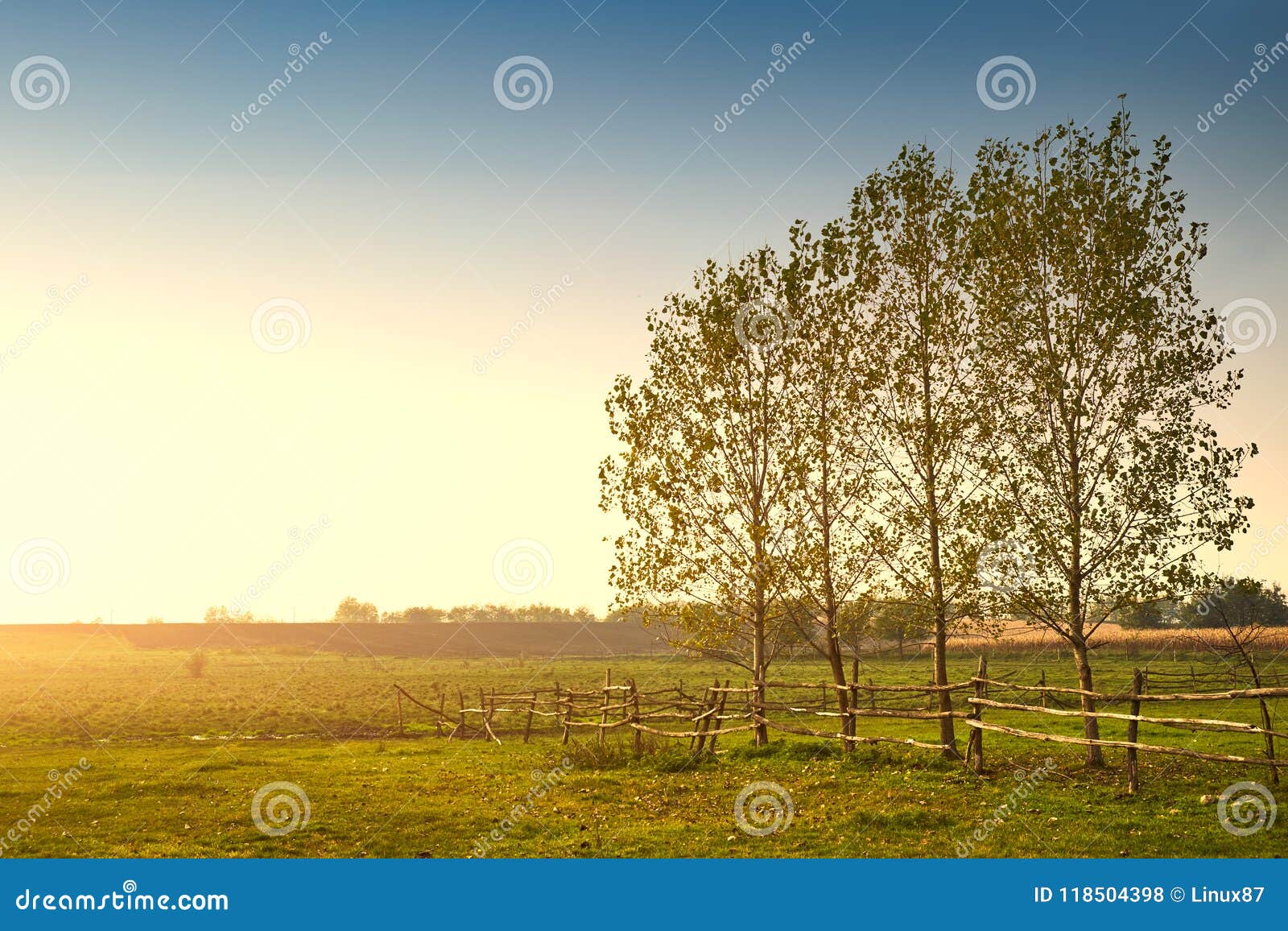 Sunny field stock photo. Image of fall, farm, farmland - 118504398