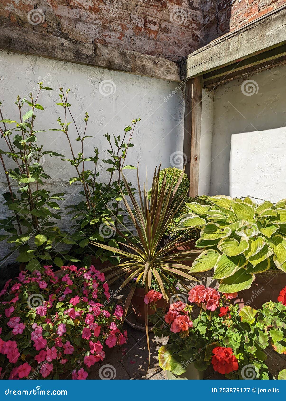 Sunny Floral corner stock image. Image of shrub, flower - 253879177
