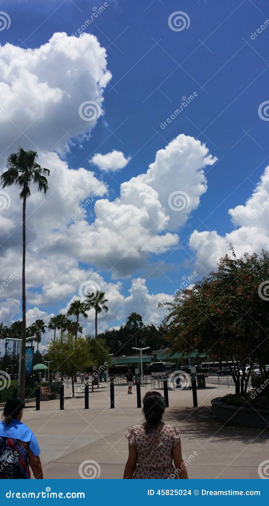 Sunny Florida editorial stock image. Image of florida - 45825024
