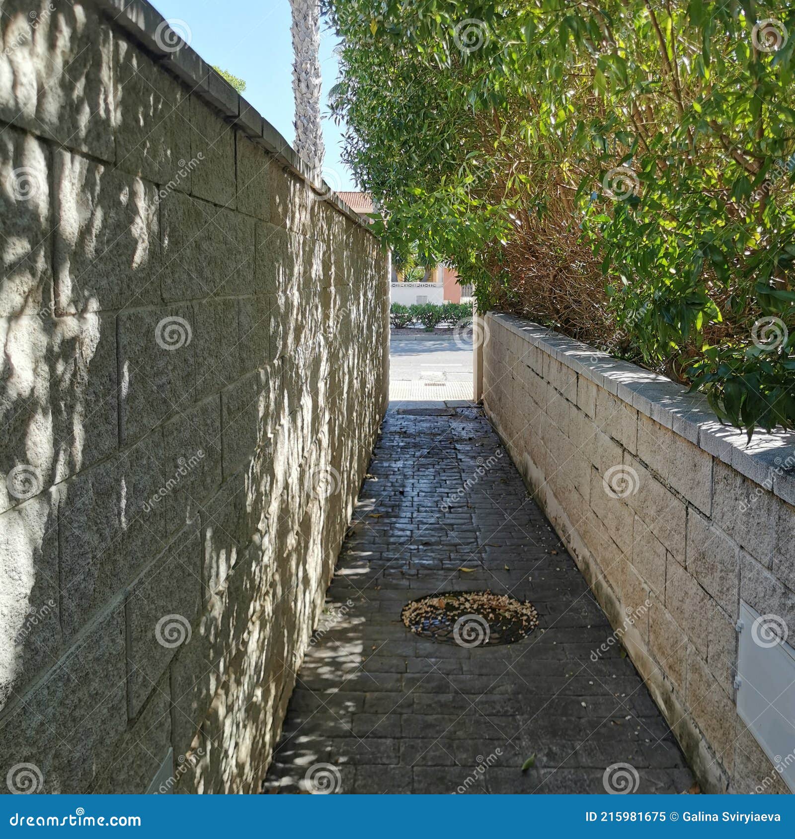 Sunny Footpath between Two Stone Walls Passage between Fences with a ...