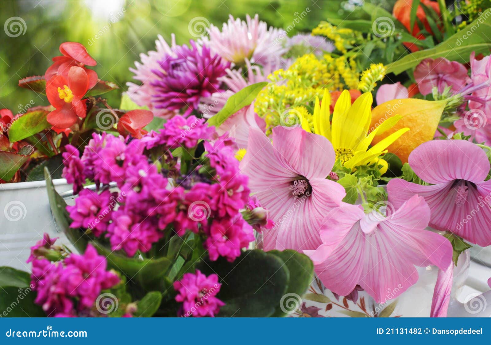 Sunny Garden Flower Arrangement Stock Photo - Image of plants, green ...