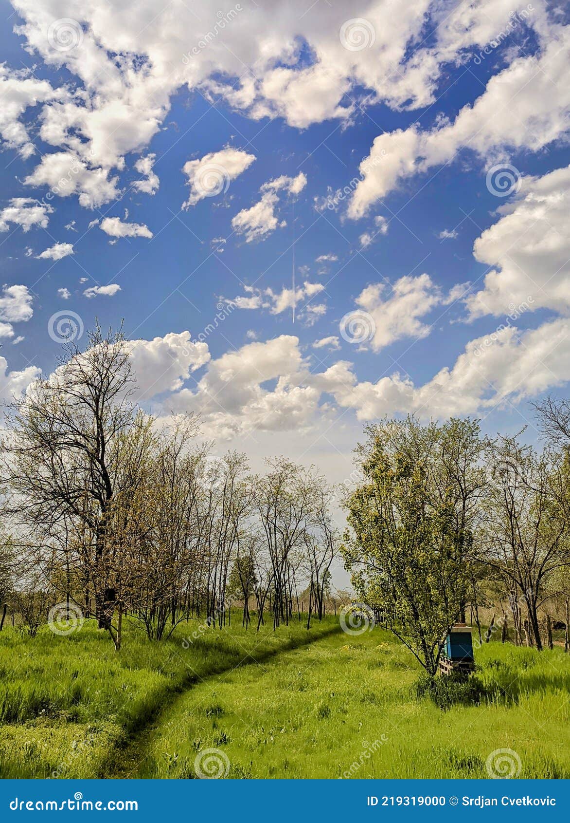 Sunny Garden with Grass and a Fairytale Path. Stock Photo - Image of ...