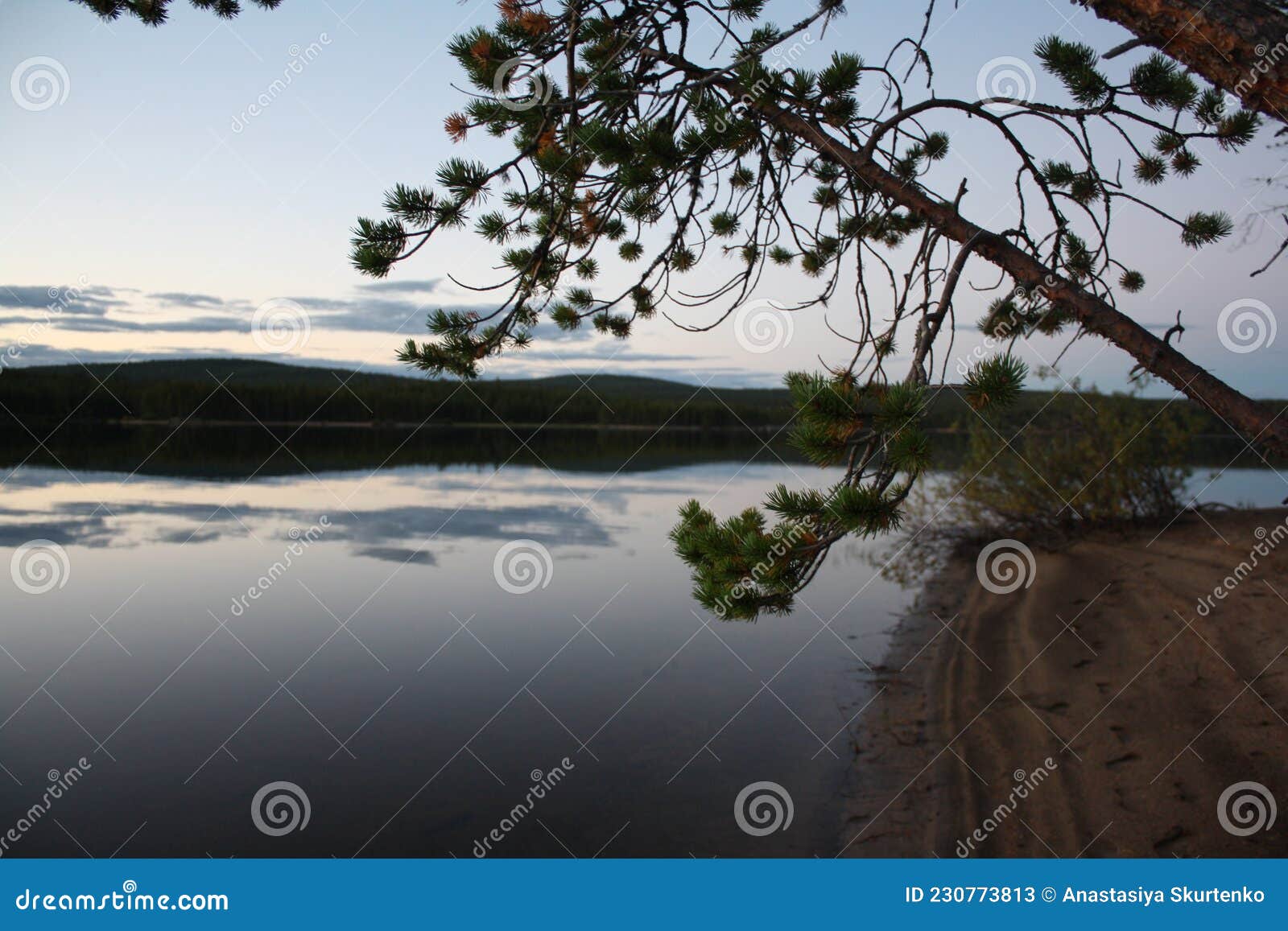 A Shore of the Huge Imandra Lake Stock Image - Image of river ...