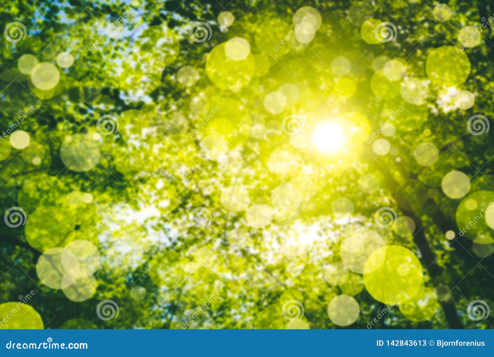 Sunny Green Forest Foliage Background Stock Image - Image of sunny ...