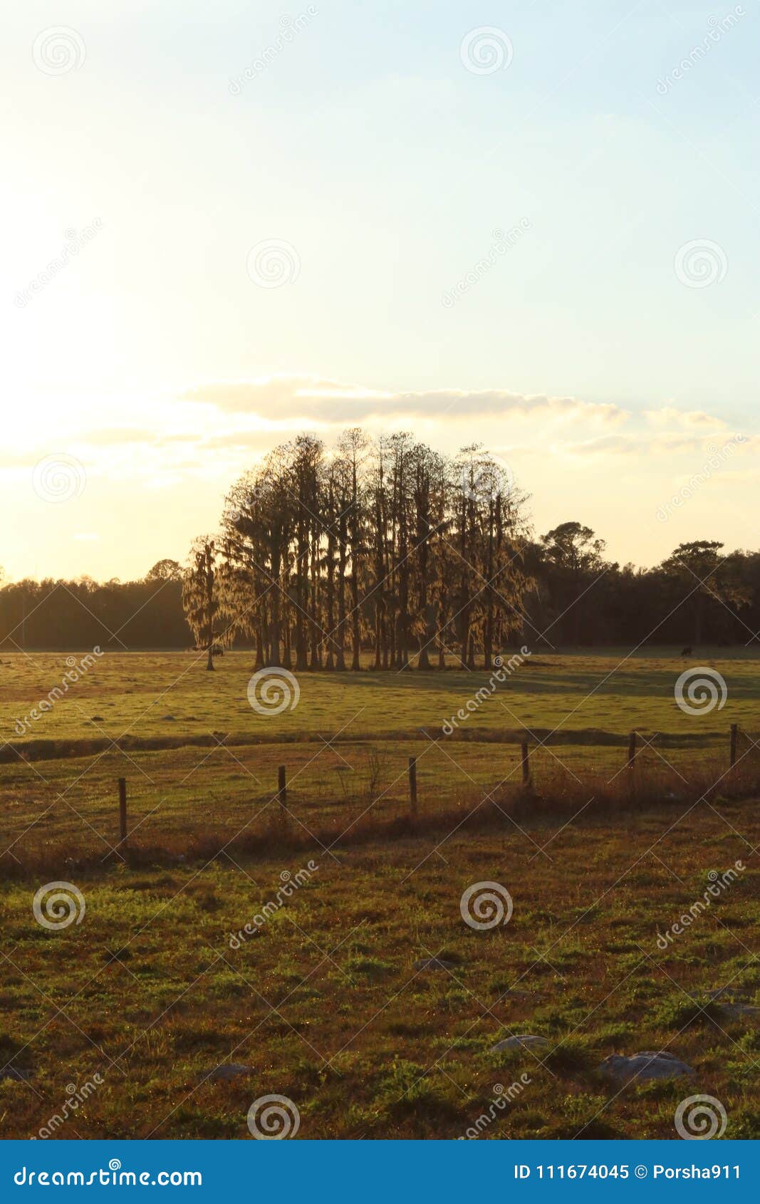 Sunny haze stock image. Image of live, haze, sunset - 111674045