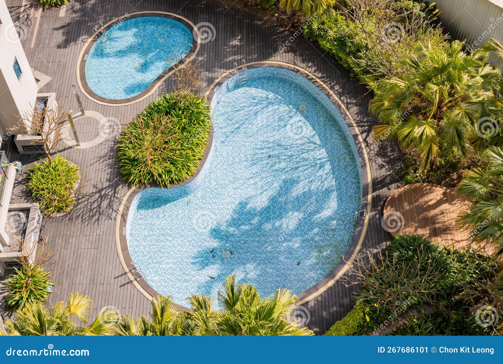 Sunny High Angle View of a Modern Swimming Pool Stock Image - Image of ...