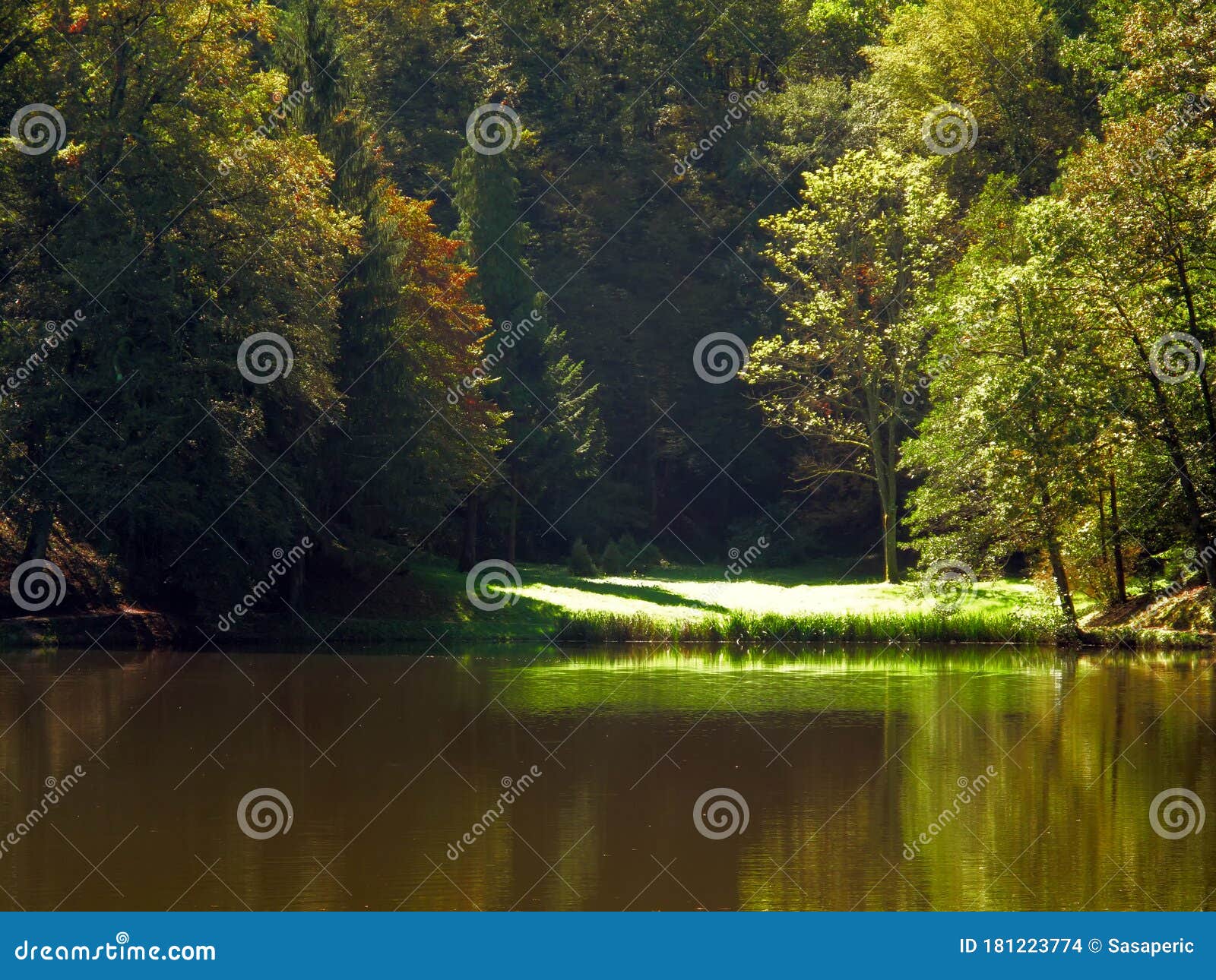 Sunny Lake in the Deep Forest - Sun Rays on the Meadow Stock Photo ...