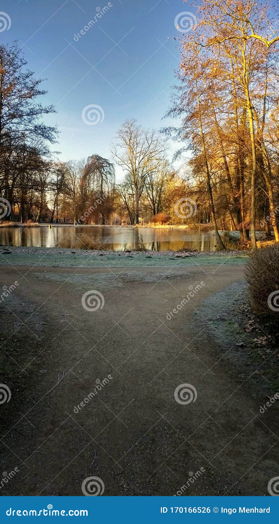 Sunny lake in the park stock photo. Image of tranquil - 170166526