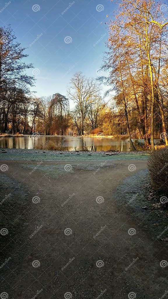 Sunny lake in the park stock photo. Image of tranquil - 170166526
