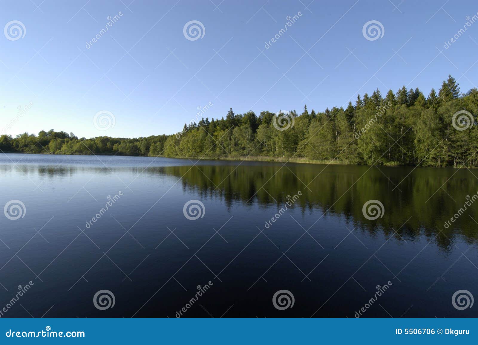 Sunny Lake with Trees Reflecting on Right Stock Photo - Image of high ...