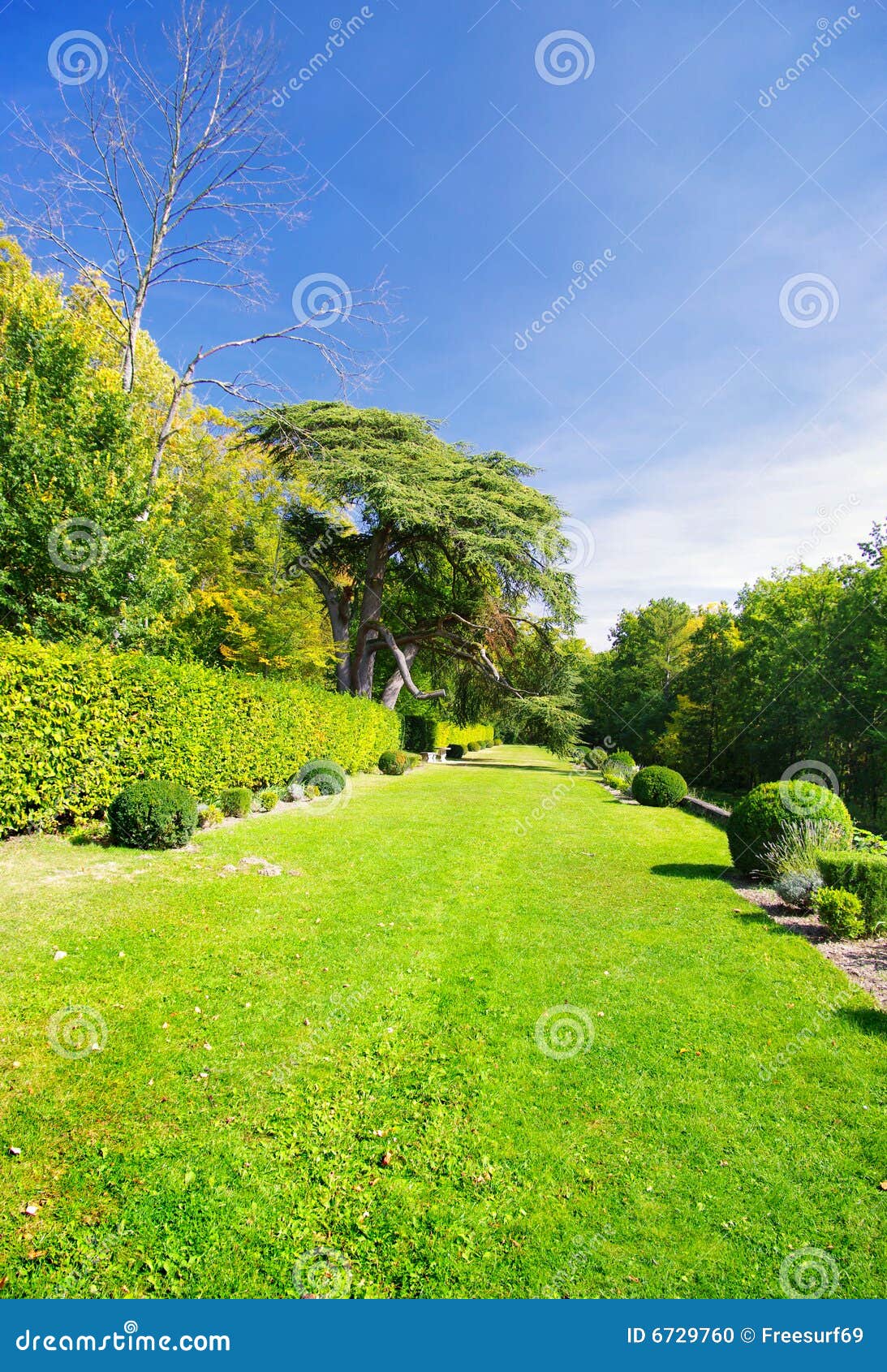 Sunny landscape stock photo. Image of colorful, alley - 6729760