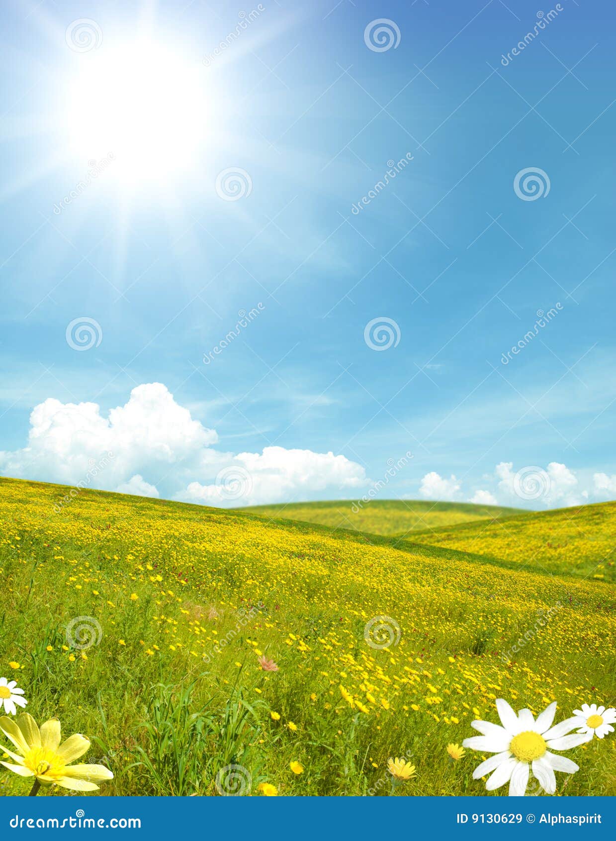 Sunny landscape stock image. Image of green, country, agriculture - 9130629