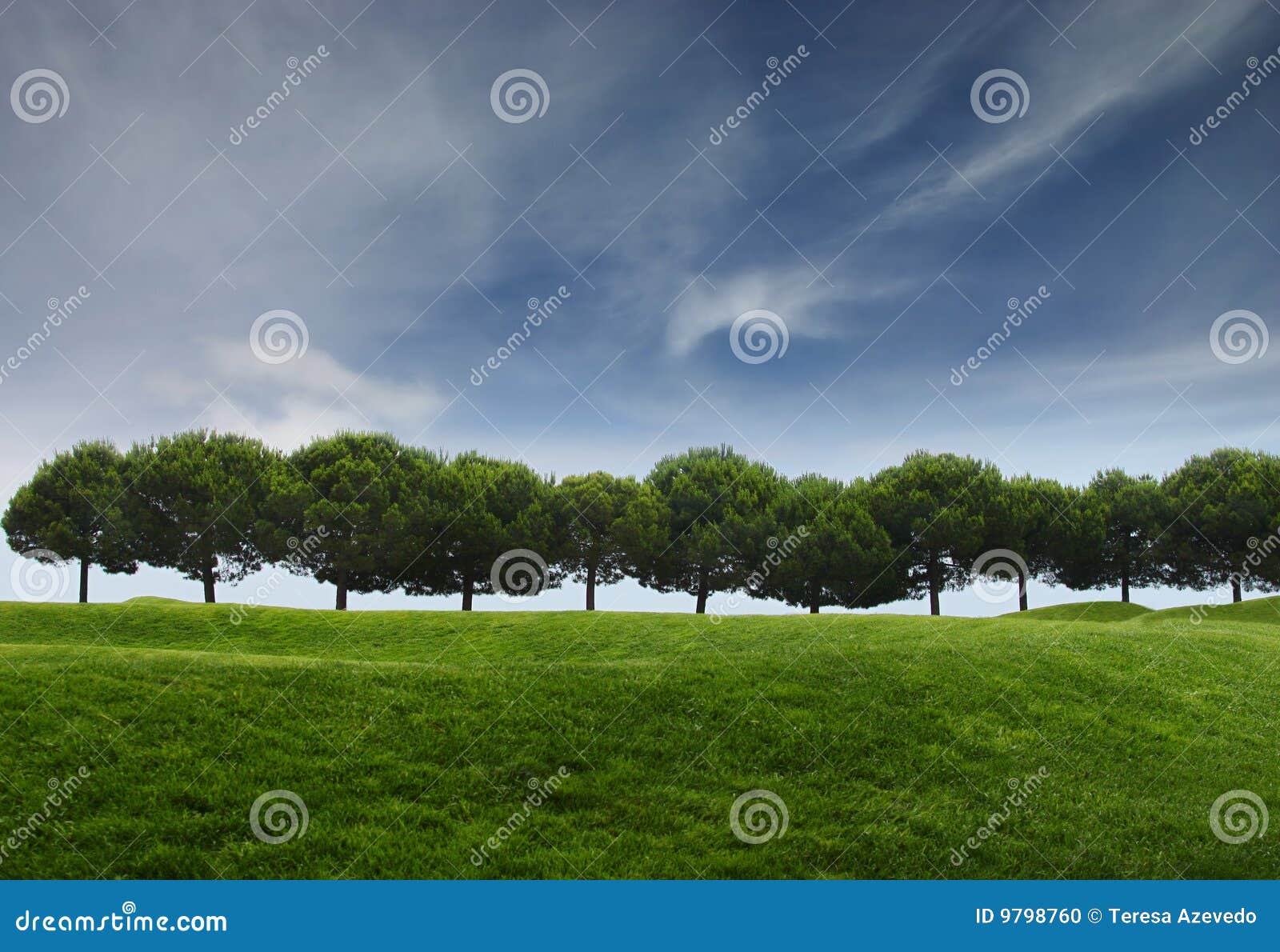 Sunny Landscape Of The Countryside In The Beginning Of Summer. A Widely ...