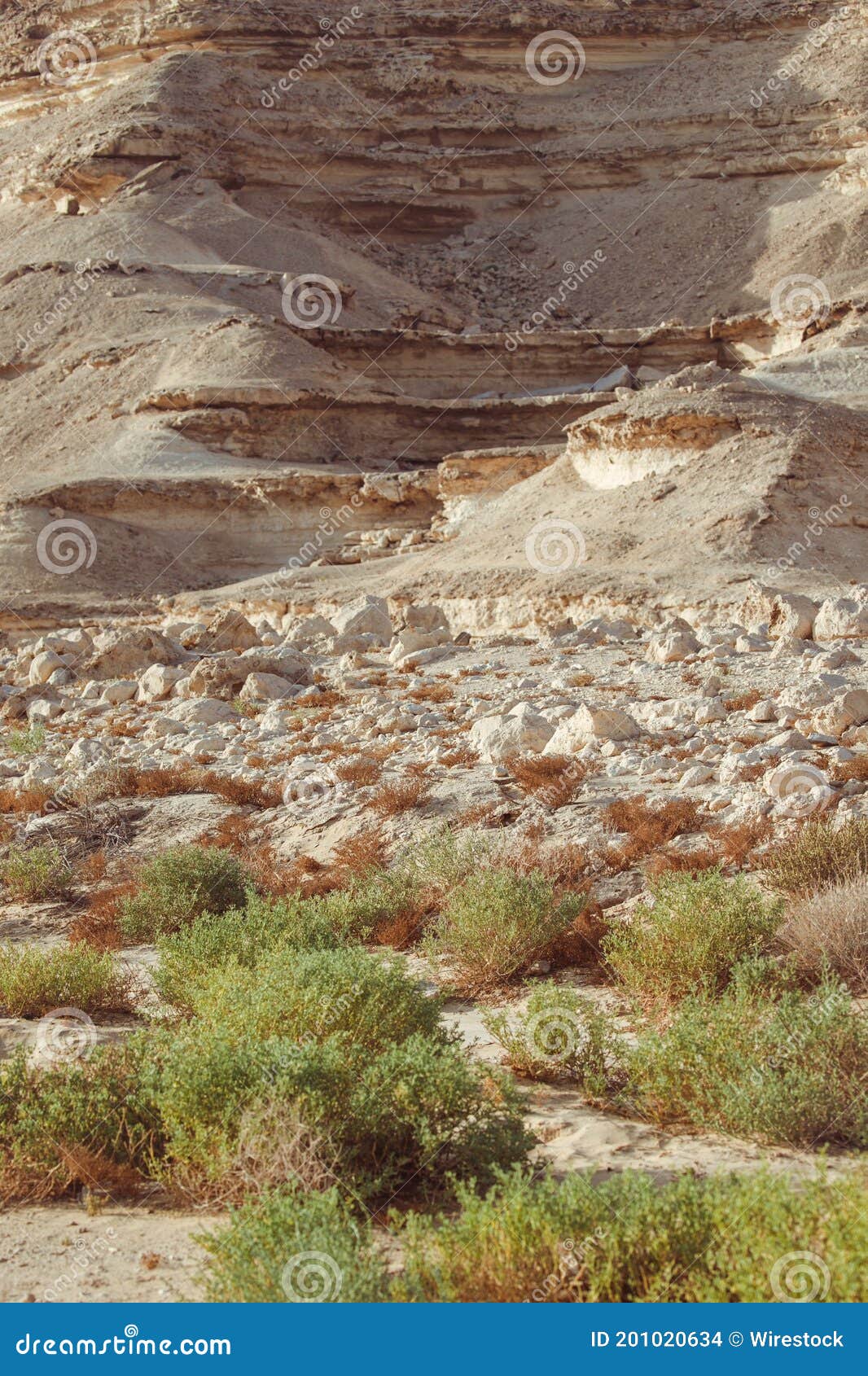 Sunny Landscape of a Dry Desert Landscape Stock Photo - Image of ...