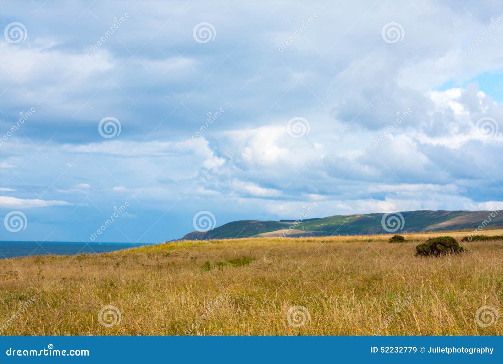 Sunny Landscape with Fields and Blue Sky in Scotland Stock Image ...