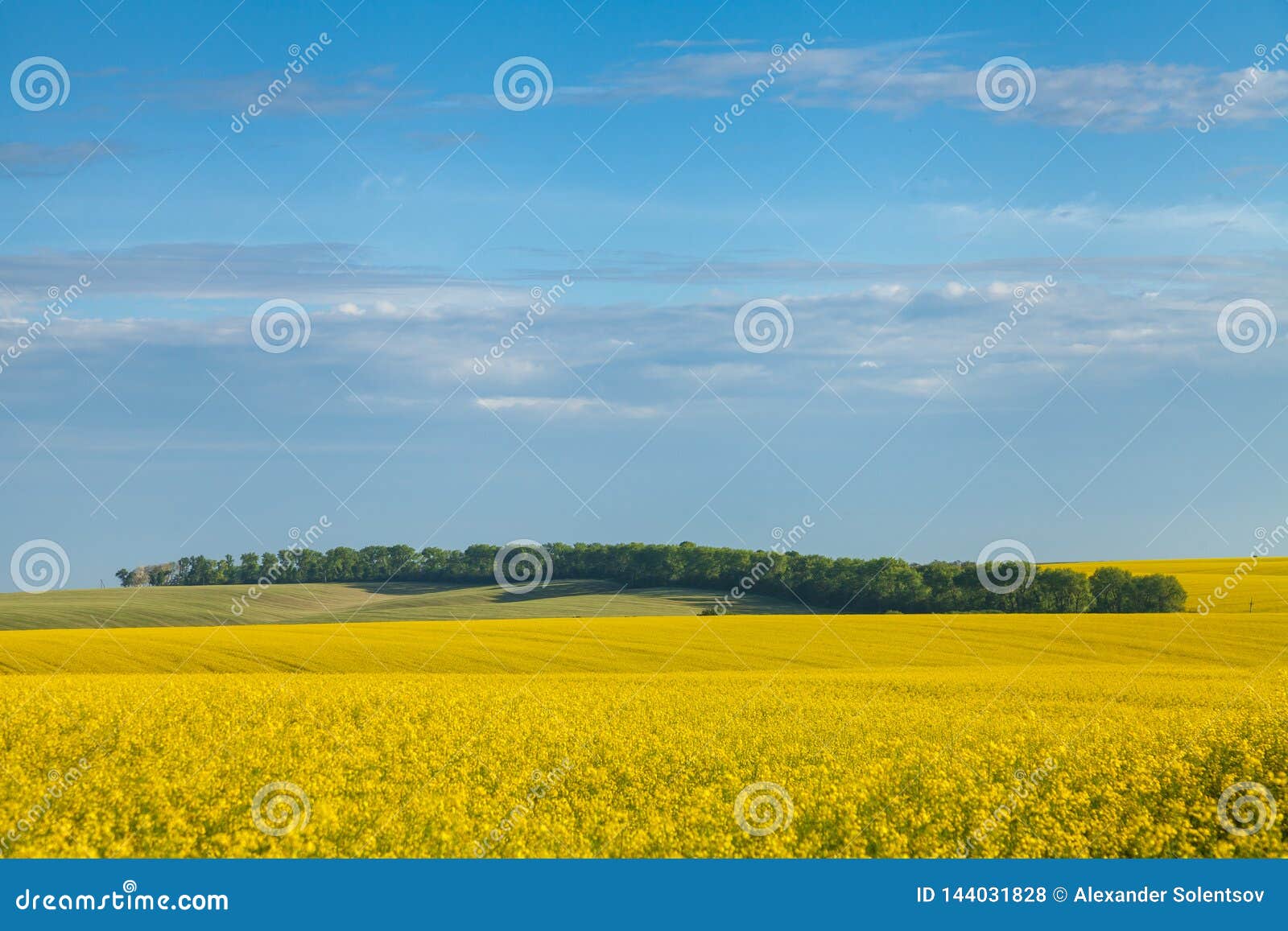 Sunny Landscape with Fields Stock Photo - Image of scenery, grove ...