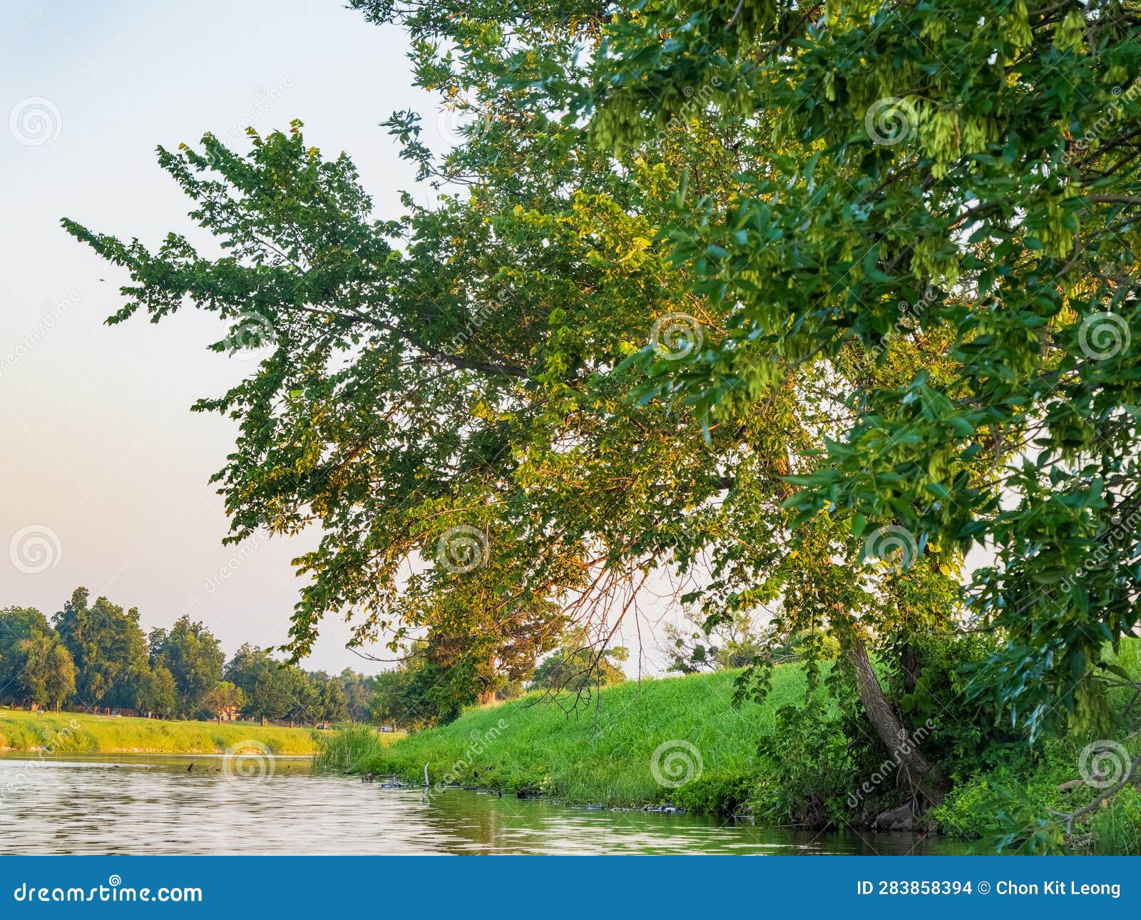Sunny Landscape of Lake Overholser Stock Photo - Image of urban ...