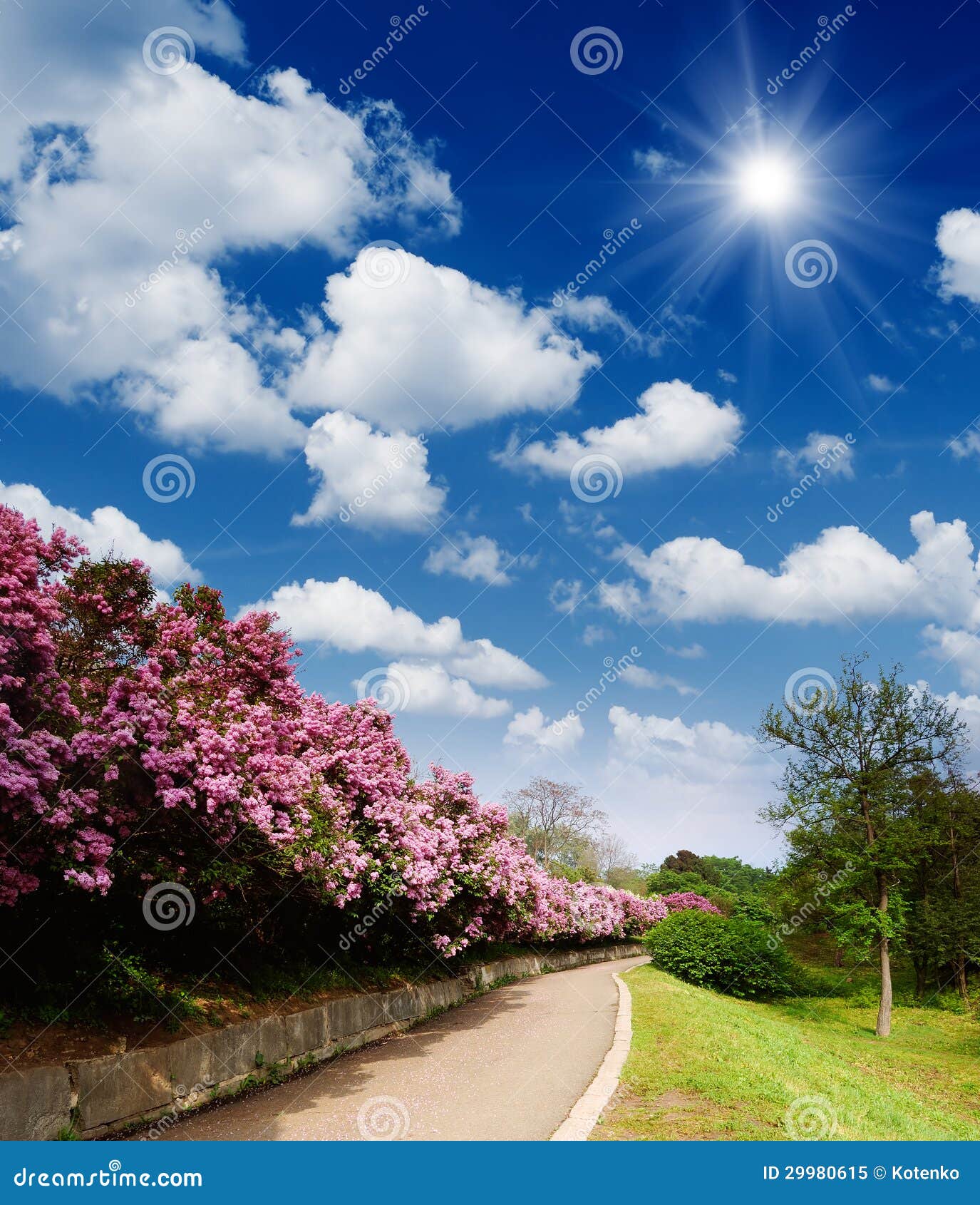 Road to the spring garden stock image. Image of color - 29980615