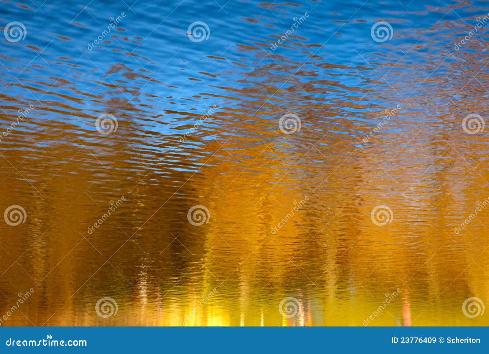 Sunny Landscape Tree Water Reflection Background Stock Image - Image of ...