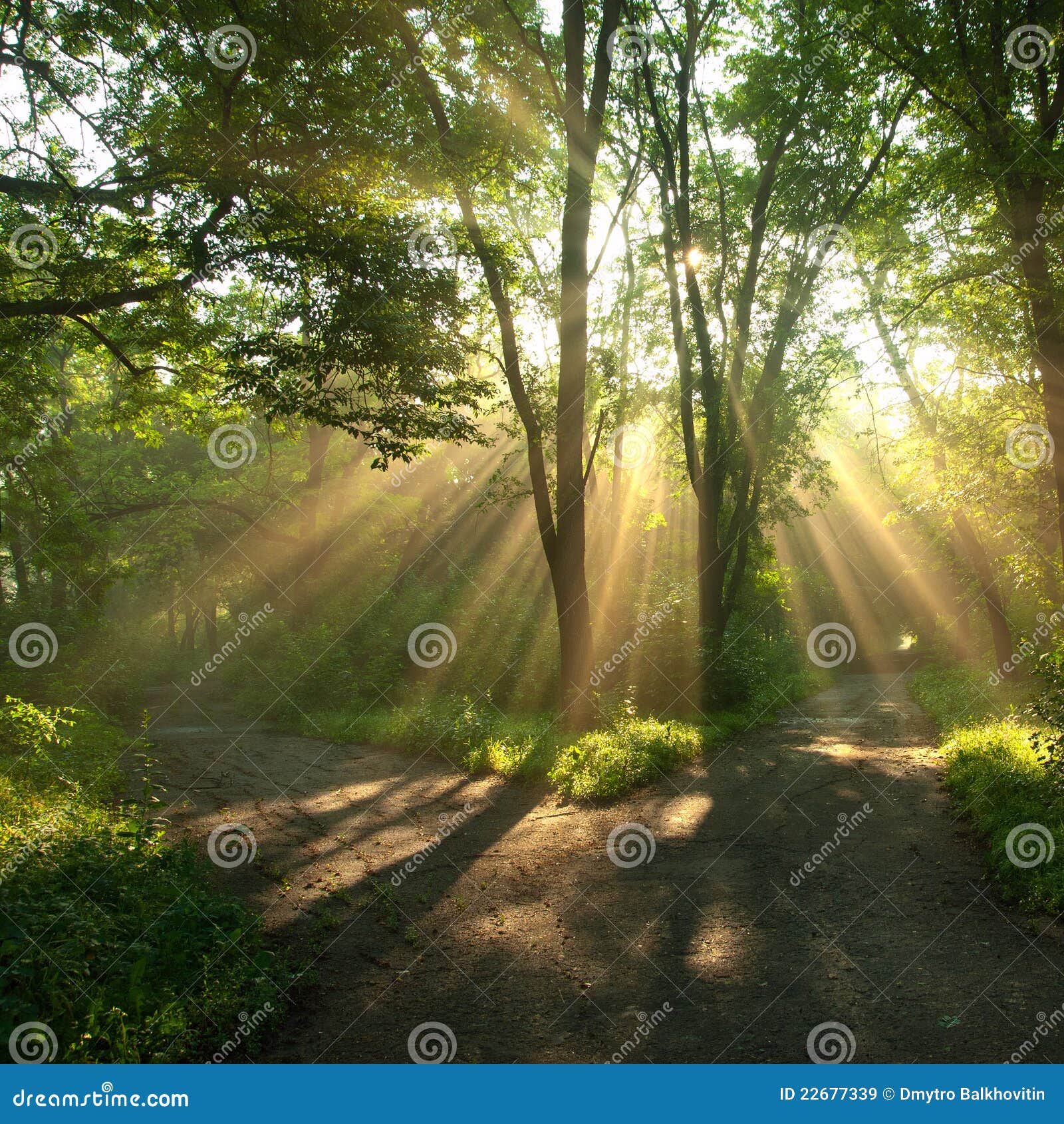 Sunny light stock image. Image of land, countryside, area - 22677339