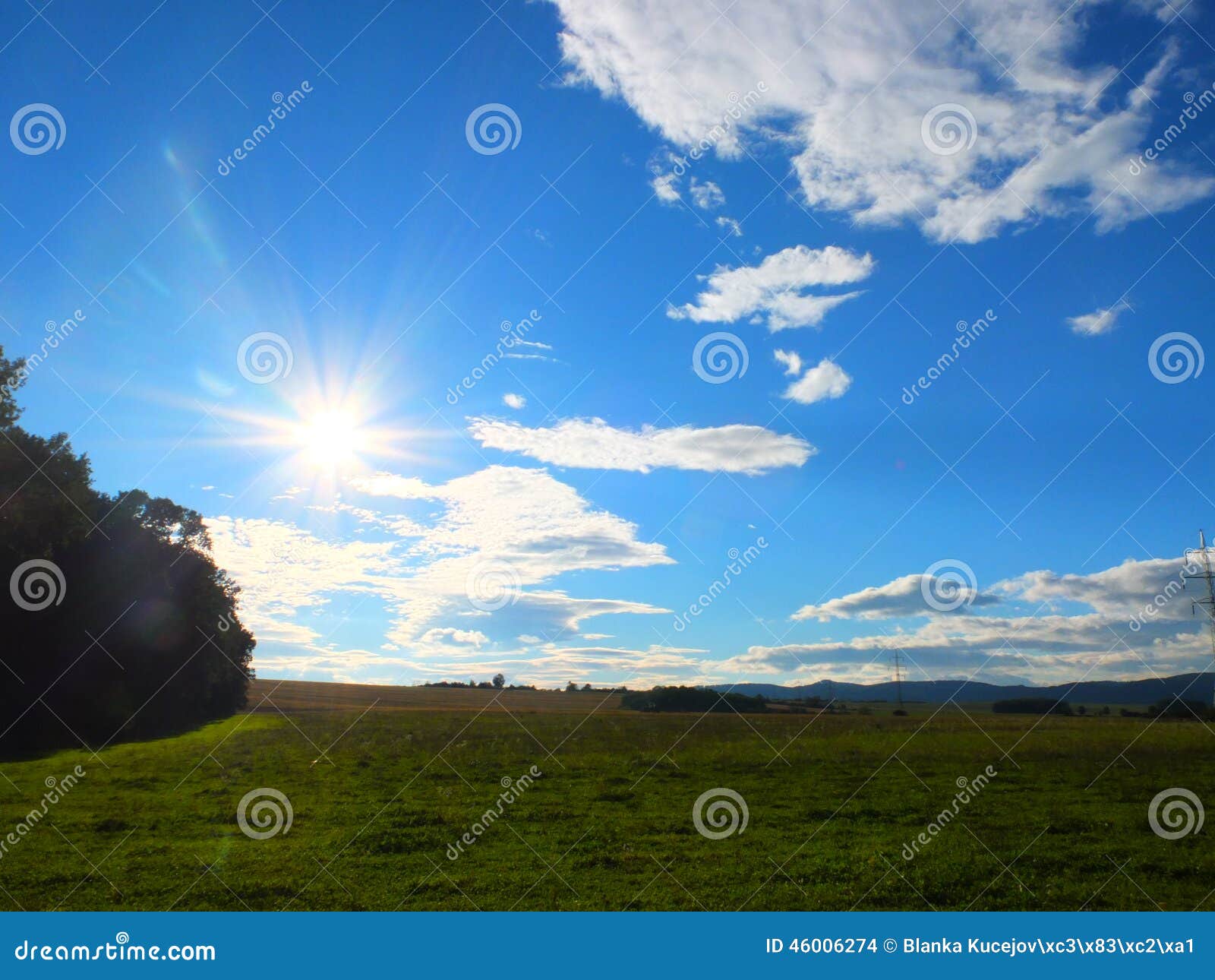 Sunny meadow. stock photo. Image of sunny, summer, blue - 46006274