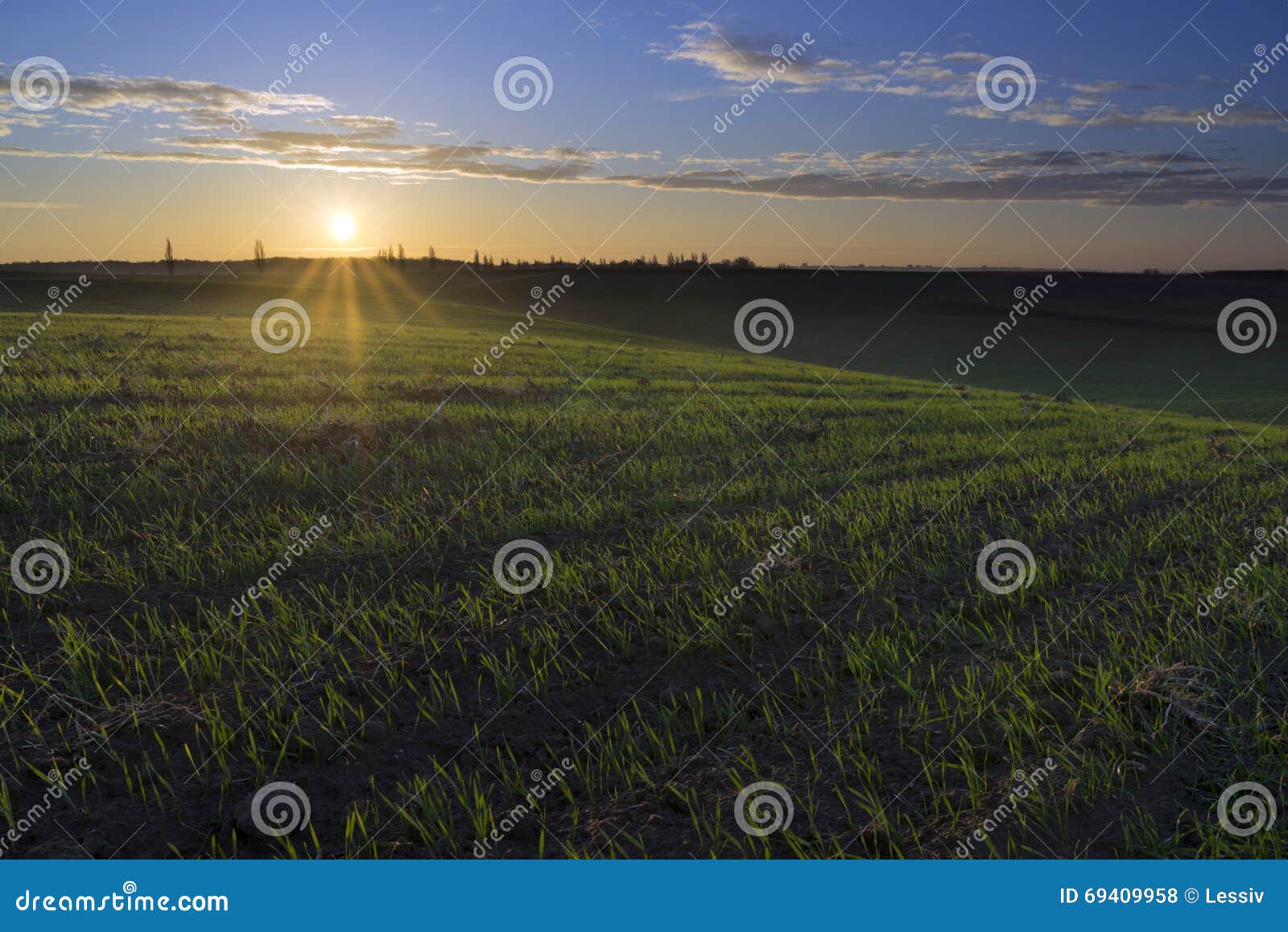 Sunny Morning in the Countryside Foto de archivo - Imagen de tierra ...