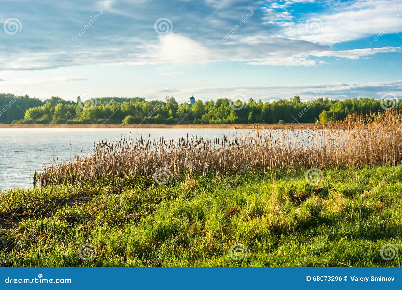 Sunny morning on the lake. stock photo. Image of spring - 68073296