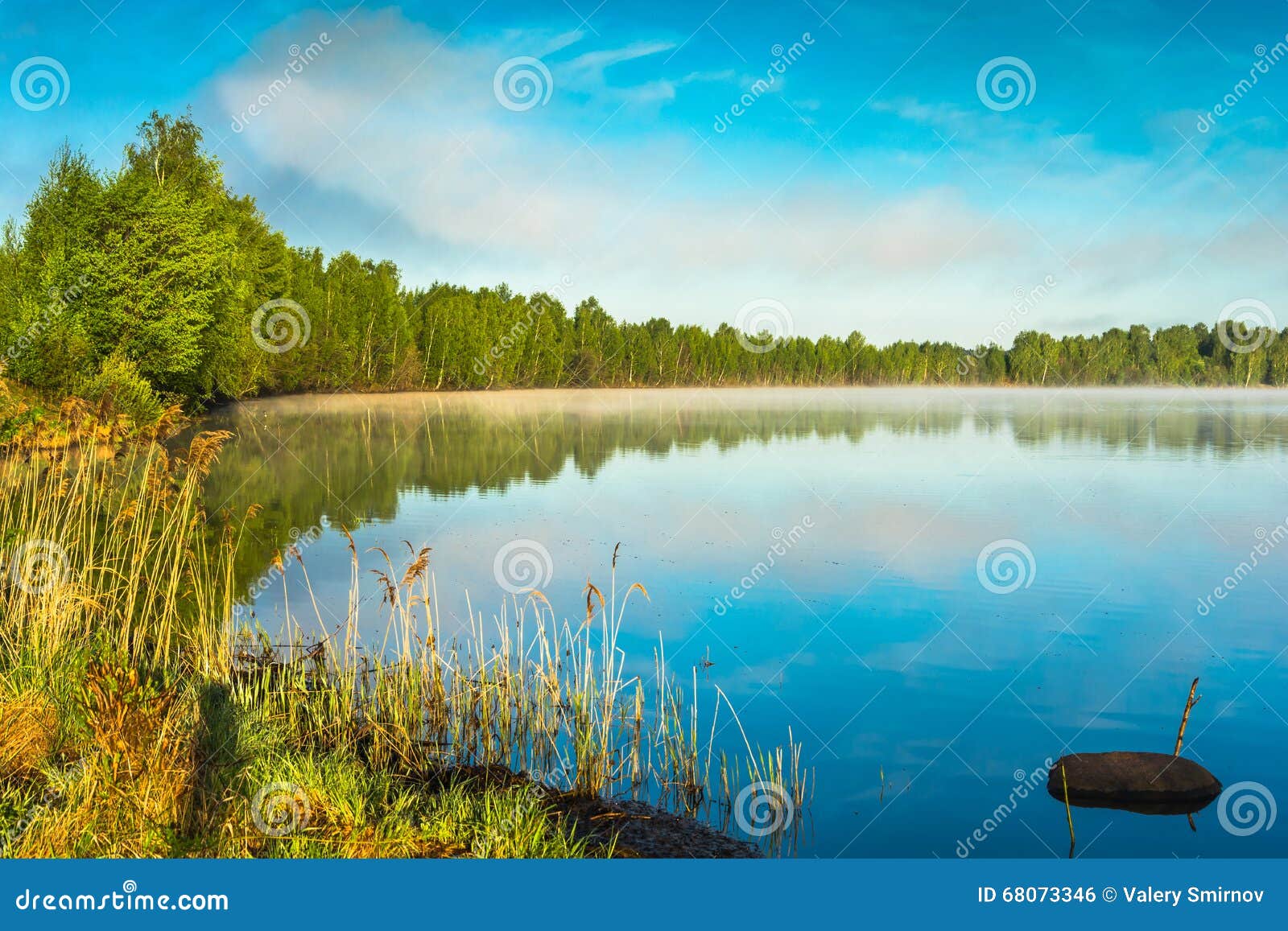 Sunny morning on the lake. stock photo. Image of colorful - 68073346