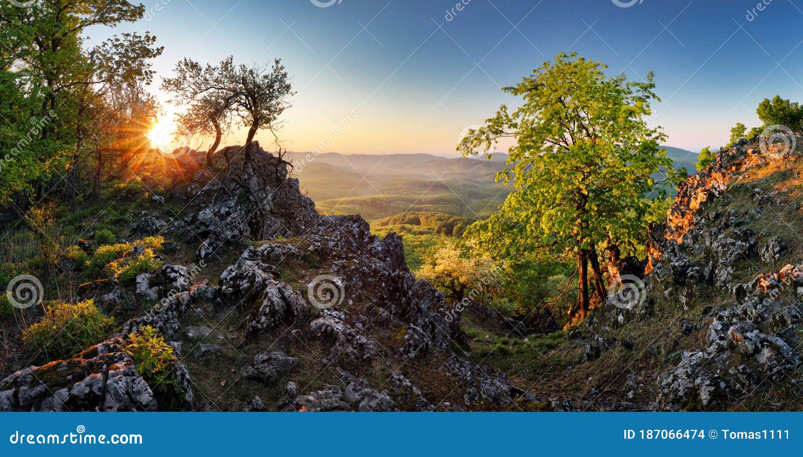Sunny Morning in Mountain. Beautiful Landscape Composition Stock Photo ...