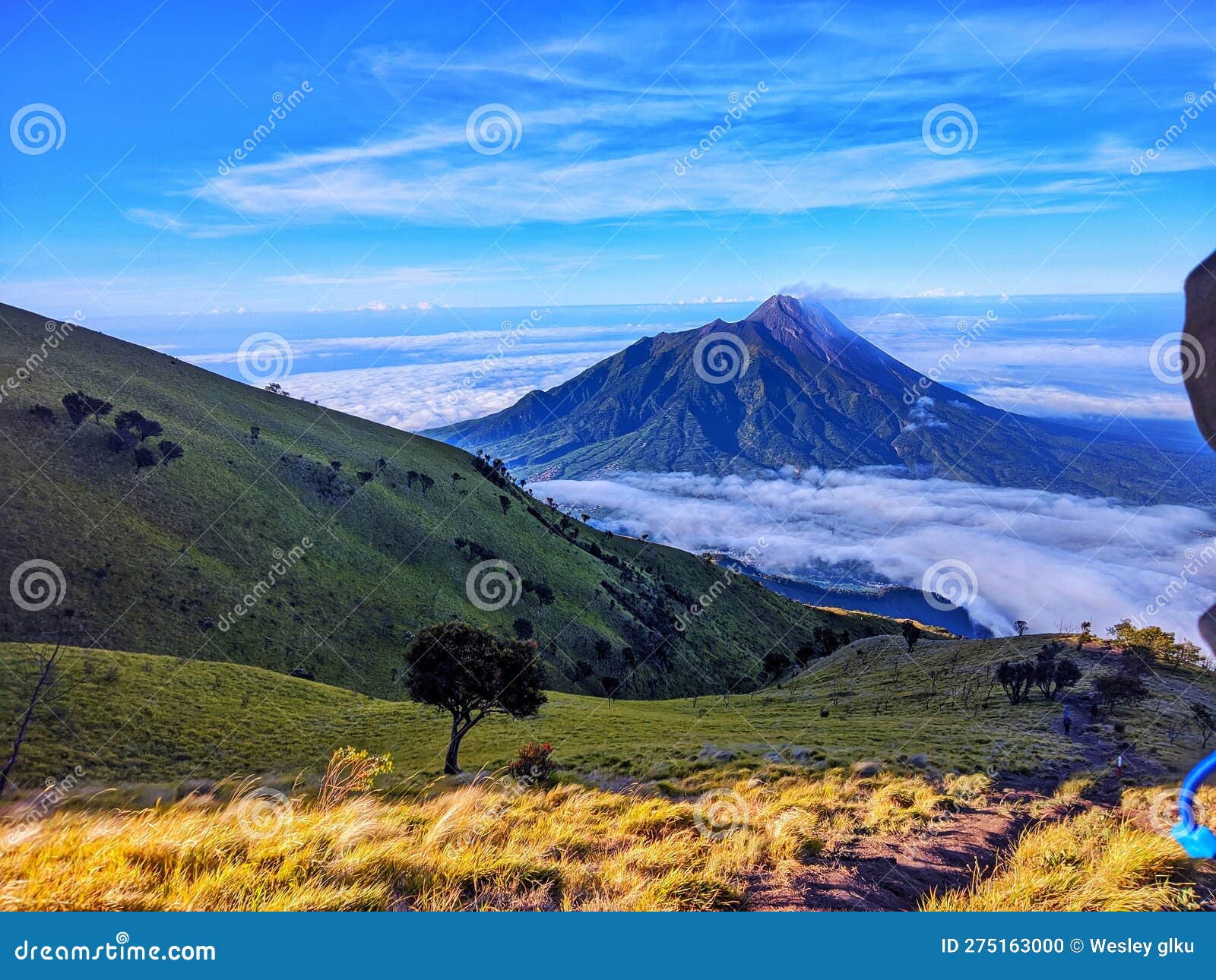 Sunny Morning at the Top of Mount Stock Photo - Image of fell, plateau ...