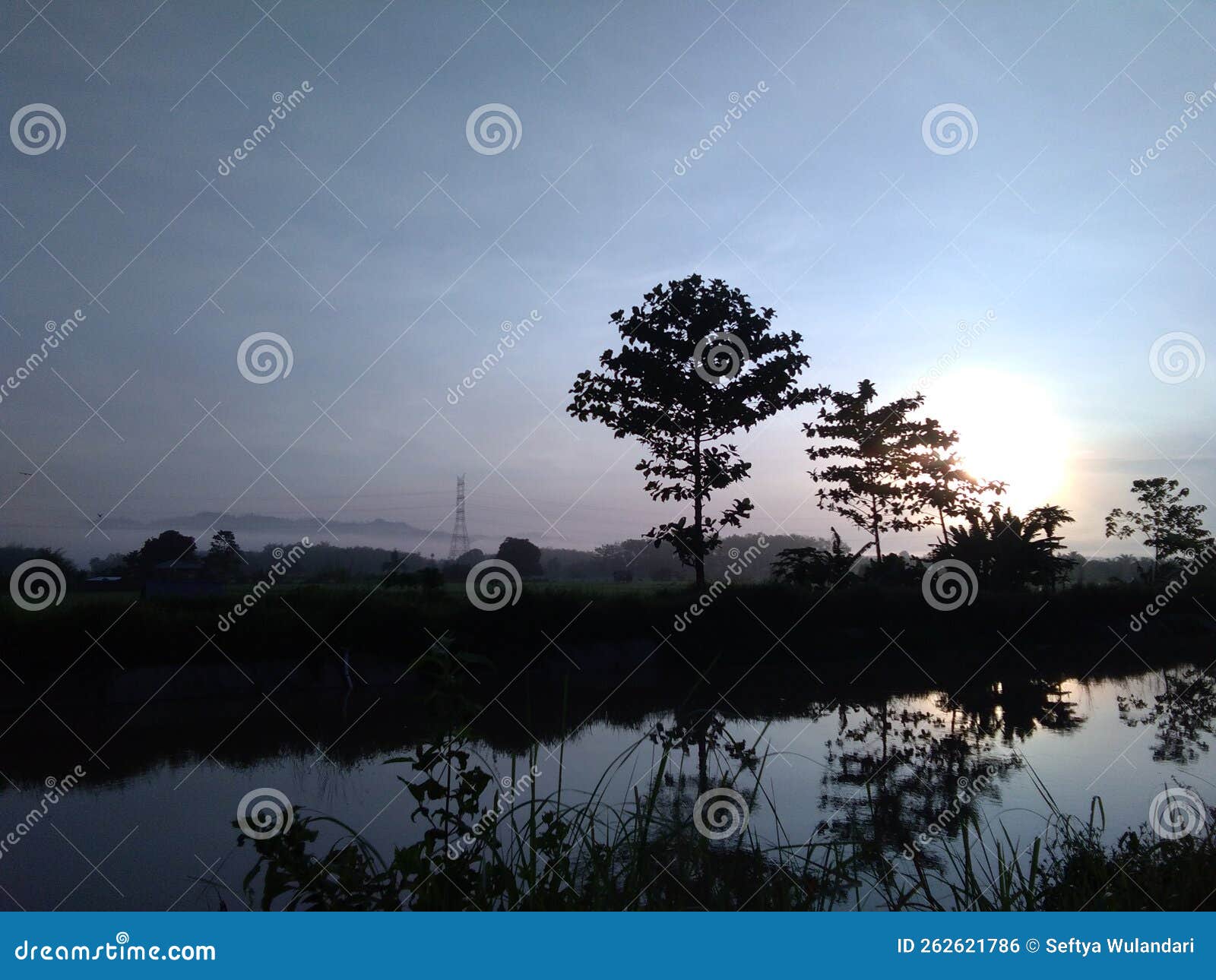 Sunny morning on the water stock photo. Image of landscape - 262621786