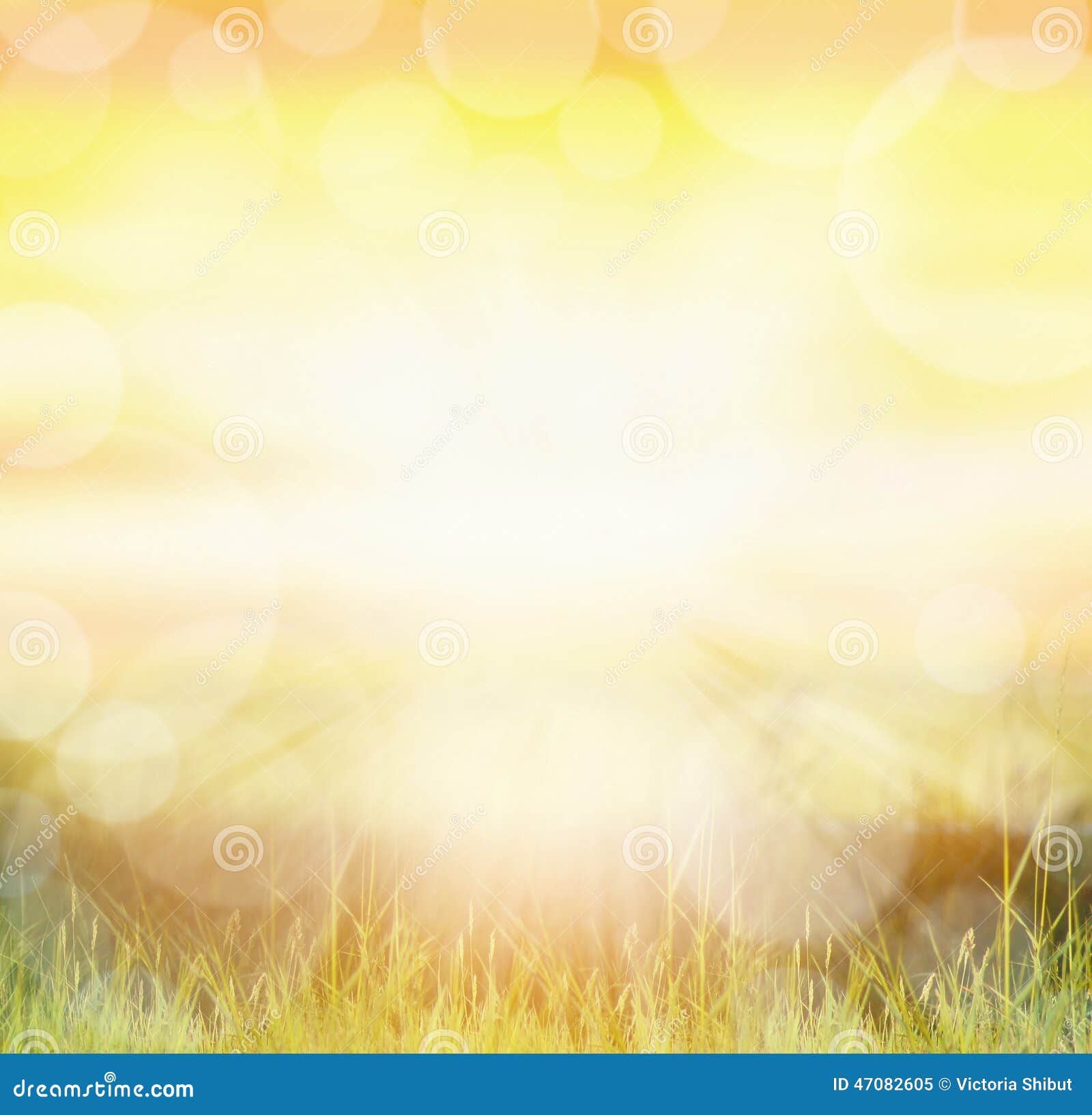 Sunny Natur Background with Bokeh and Sun Rays on Grass Stock Image ...