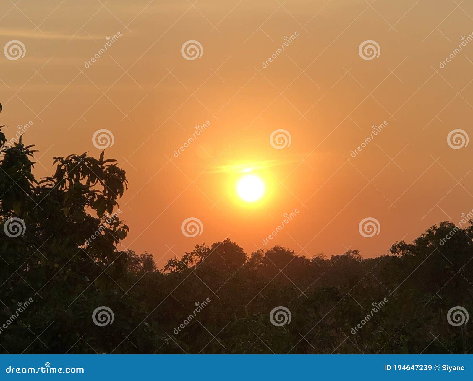 Sunny after noon sky stock image. Image of noon, nature - 194647239