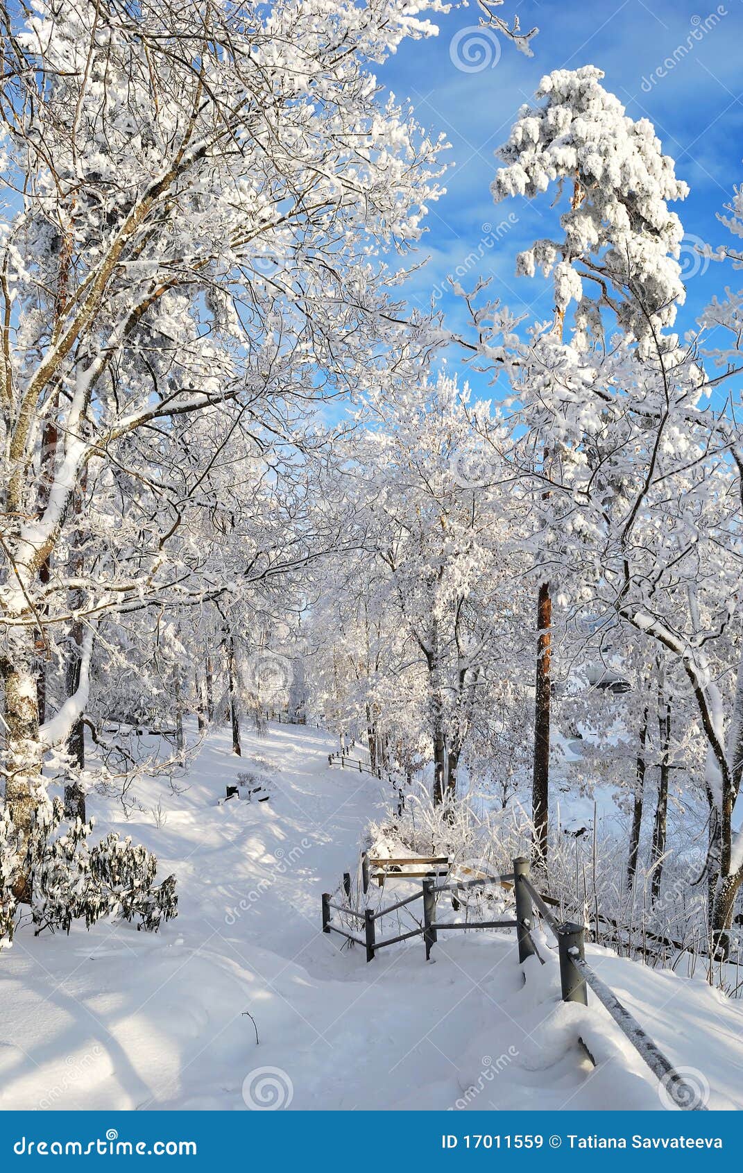 Sunny park stock image. Image of kruununpuisto, freezing - 17011559