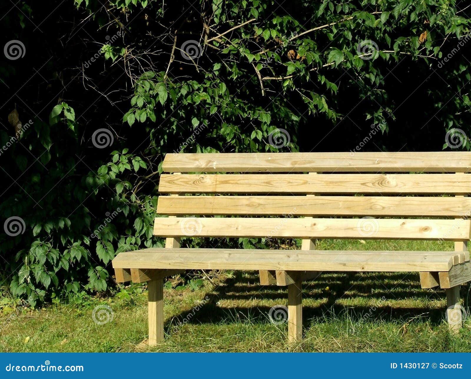 Sunny park bench stock image. Image of secluded, park - 1430127