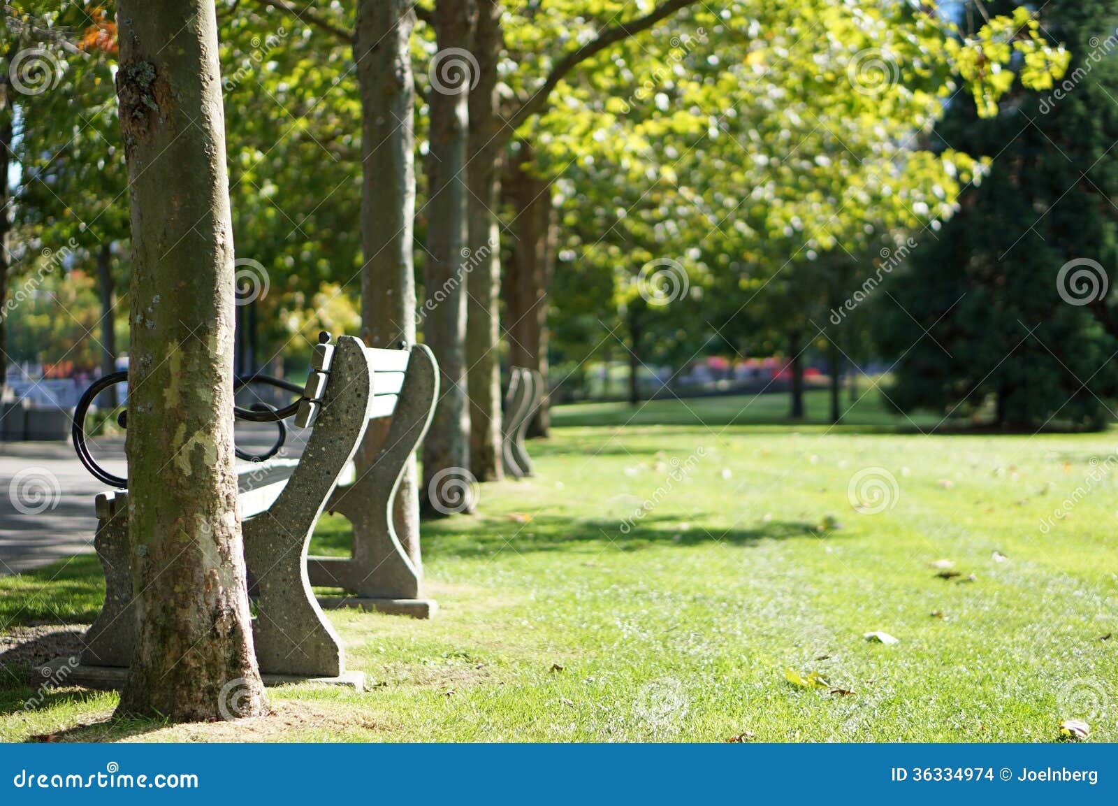 Sunny Park Day stock photo. Image of golden, landscape - 36334974